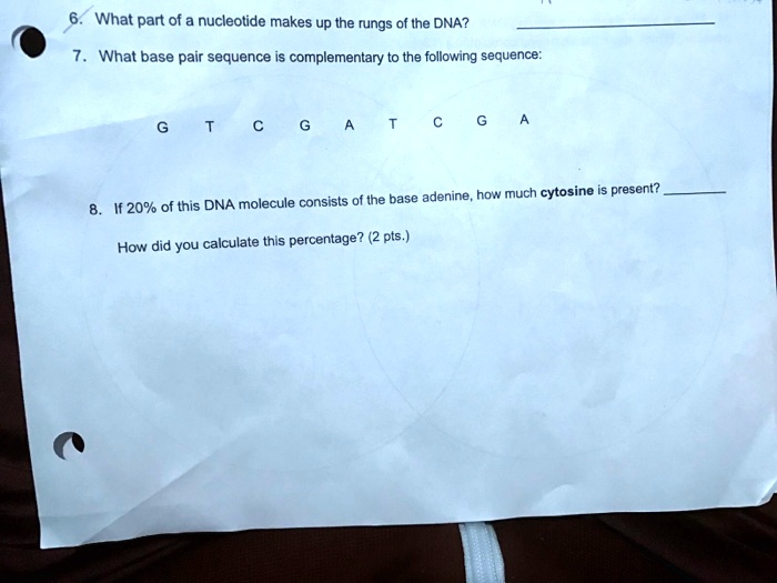 what part c nucleotide makes up the rungs of the dna what base pair sequence complementary to ...