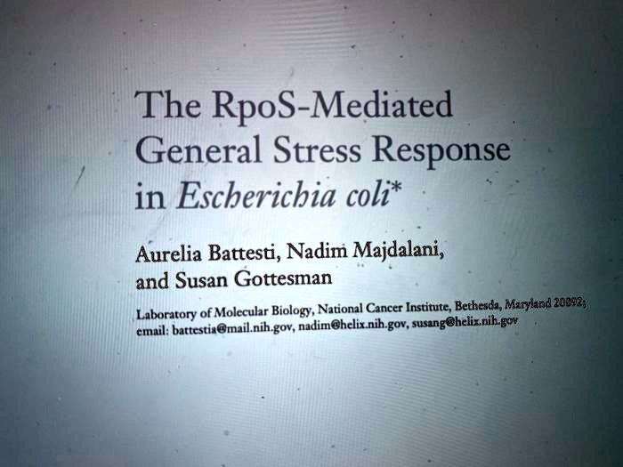 SOLVED: The RpoS-Mediated General Stress Response in Escherichia coli ...
