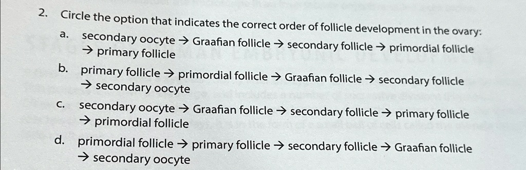 Circle the option that indicates the correct order of follicle ...