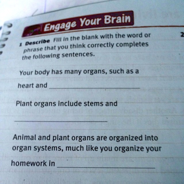 SOLVED: Please help, thank you very much. Your Brain Engage Fill In the blank with the word or ...