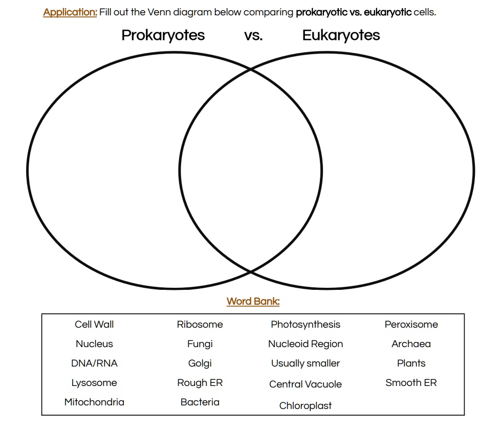 Application: Fill out the Venn diagram below comparing prokaryotic vs ...