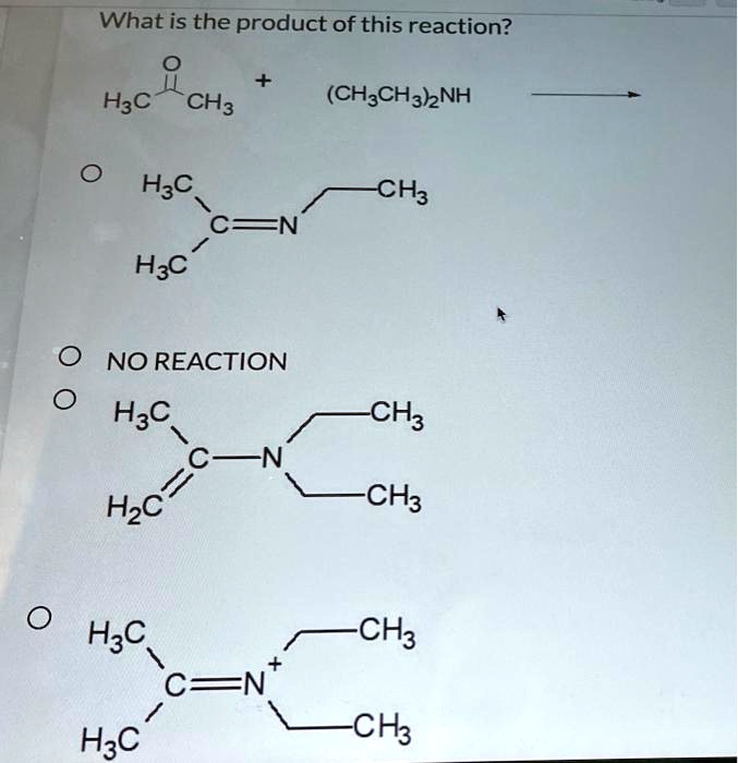 SOLVED: What is the product of this reaction? H3C CH3 (CH3CH3)NH H3C C ...