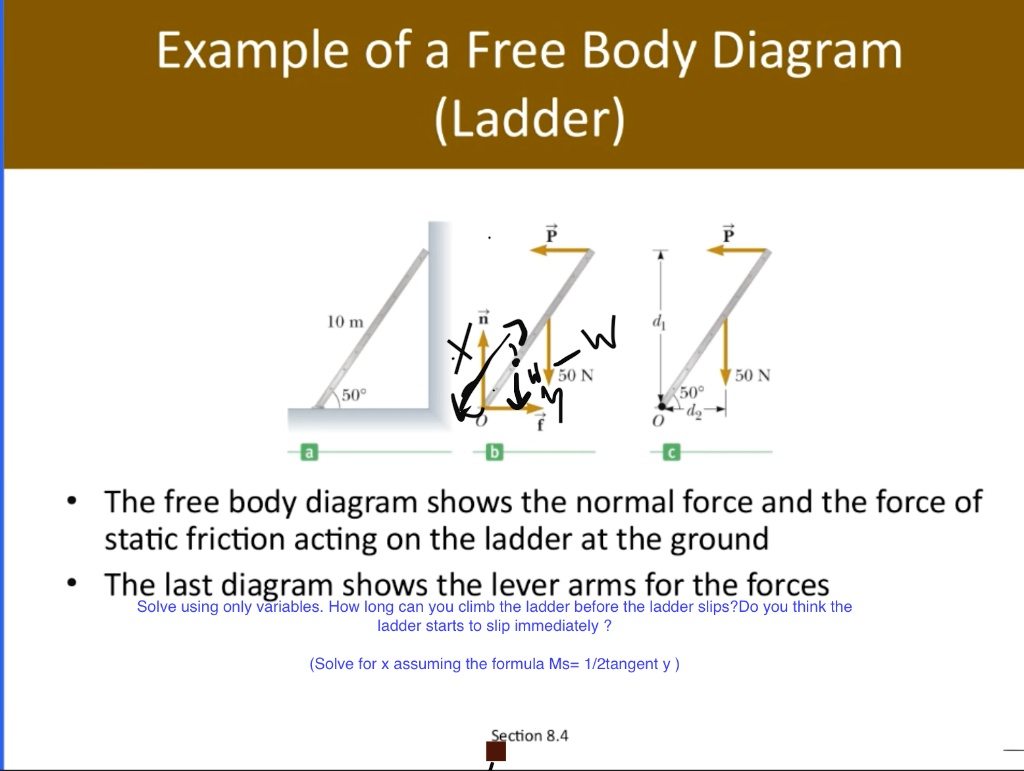SOLVED:Example of a Free Body Diagram (Ladder) I0 m LW 50 N 50 N 509 ...