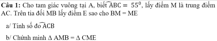 Solved Cau I Cho Tam Giác Vuông Tại A Biết Abc 55° Lấy Ä