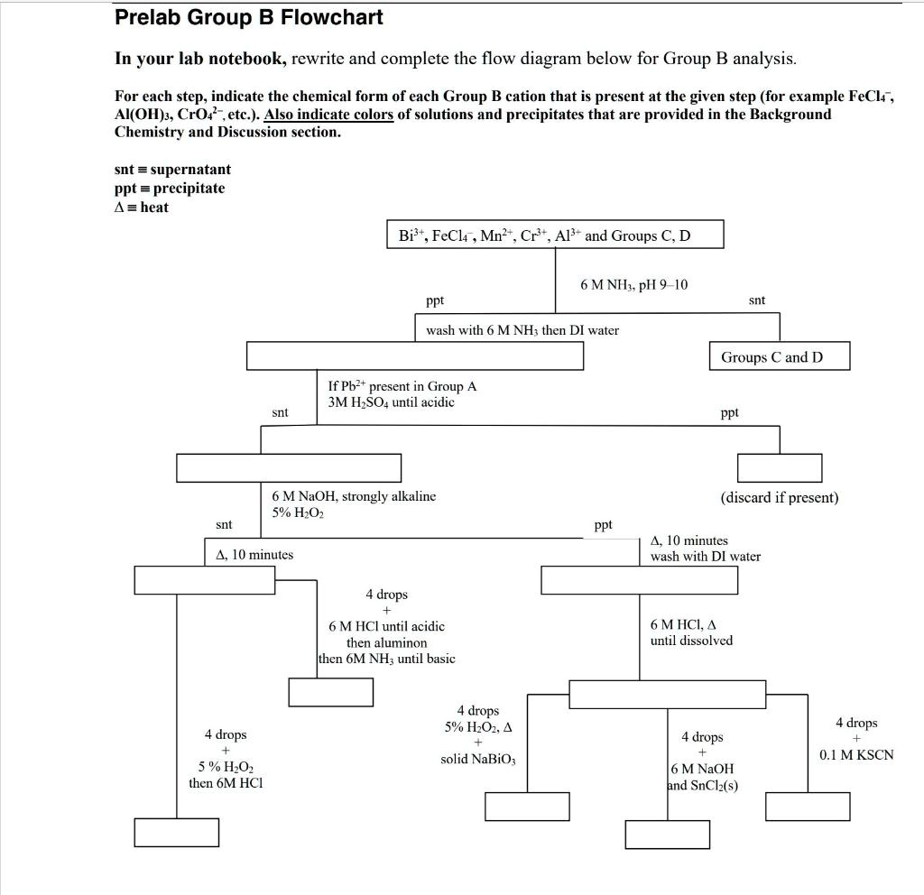 Prelab Group B Flowchart In your lab notebook, rewrite and complete the ...