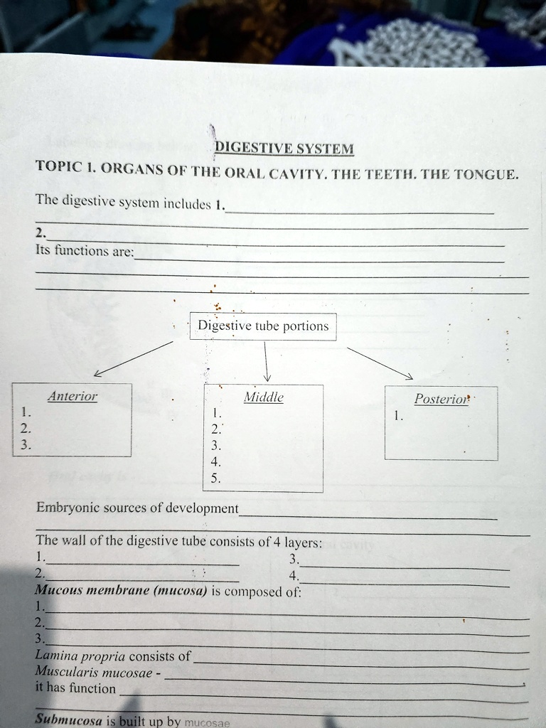 SOLVED: Digestive tube portions DIGESTIVE SYSTEM TOPIC 1. ORGANS OF THE ...