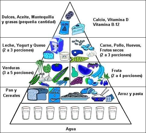 SOLVED: Dieta Sana y Balanceada La pirámide de la alimentación es una guía gráfica que intenta ...