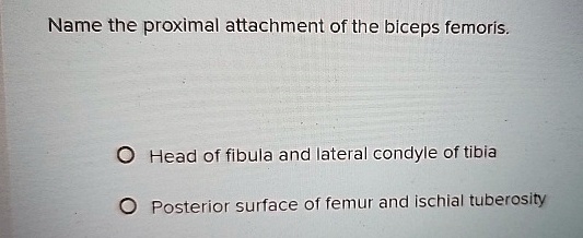 Name the proximal attachment of the biceps femoris. Head of fibula and ...