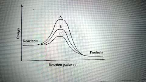 Energy Reactants Products Reaction pathway