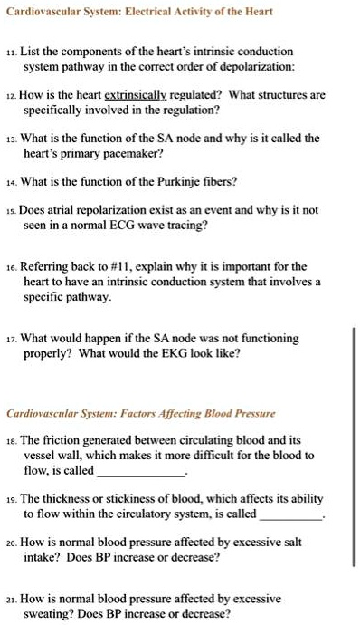 Cardiovascular System: Electrical Activity of the Heart 11. List the ...