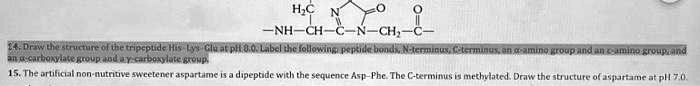 SOLVED: 14. Draw the structure of the tripeptide His-Lys-Glu at pH 8.0 ...