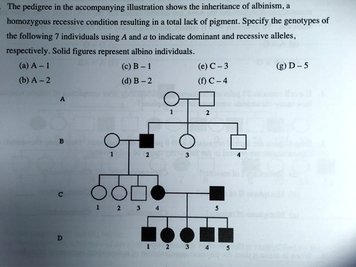 the pedigree in the accompanying illustration shows the inheritance of ...