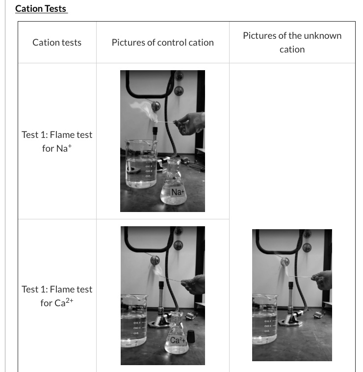 SOLVED: Cation Tests Pictures of the unknown cation Cation tests ...
