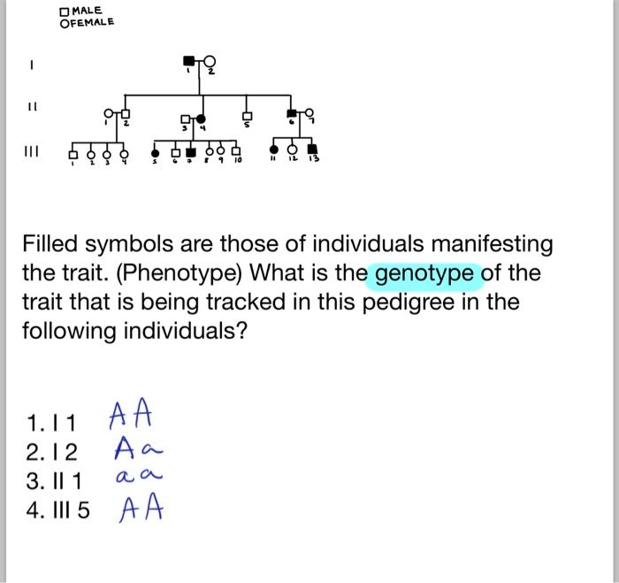 MALE FEMALE I II III 1 2 3 4 5 6 7 8 9 10 11 12 13 Filled symbols are ...