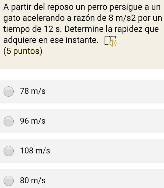 Ayudenme a partir del reposo un perro persigue a un gato...