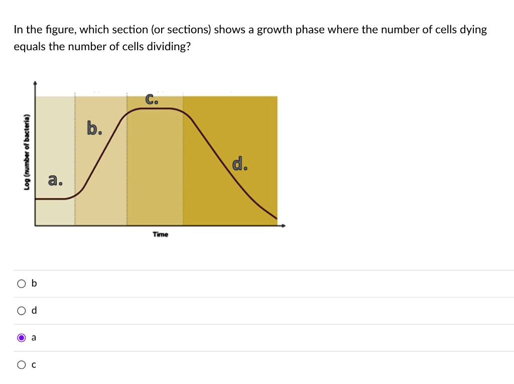 SOLVED: In the figure, which section (or sections) shows a growth phase ...