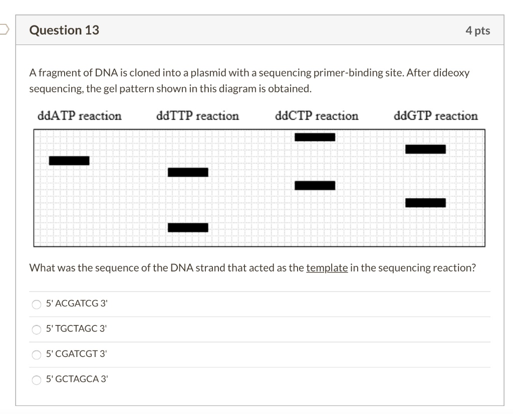 SOLVED: Question 13 4 pts A fragment of DNA is cloned into a plasmid ...