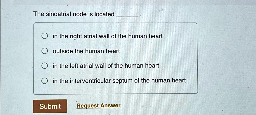 The sinoatrial node is located in the right atrial wall of the human ...