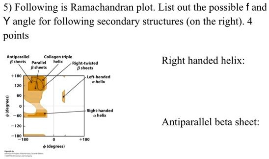5) Following is Ramachandran plot. List out the possible f and Y angle for following secondary ...