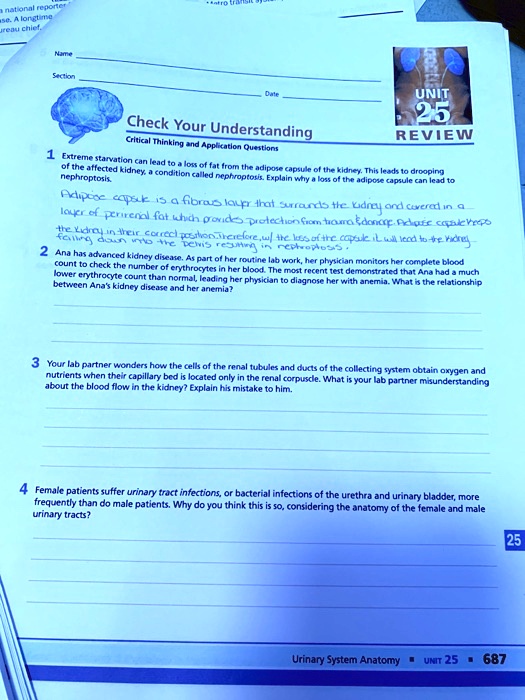 SOLVED: Text: Report on nephroptosis. Alongside the chief section, UNIT ...