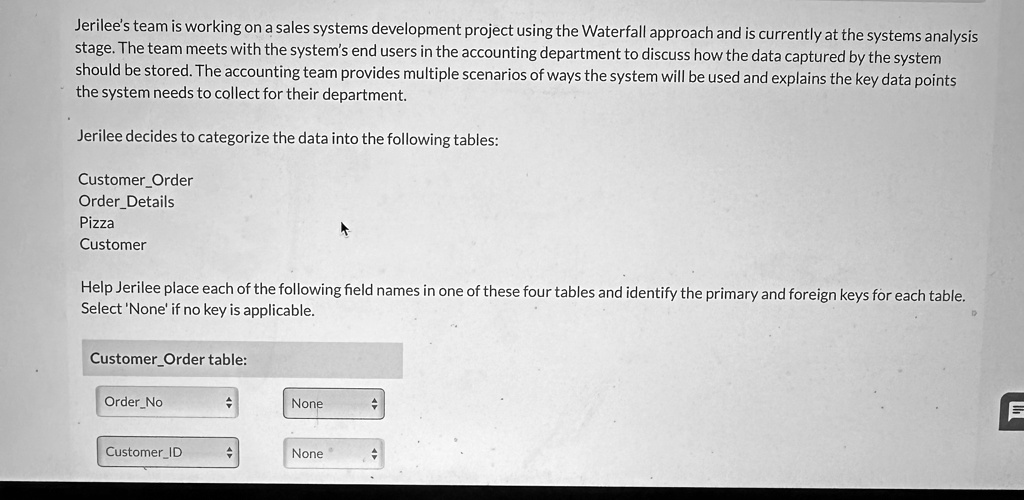 Jerilee's team is working on a sales systems development...