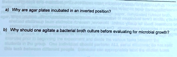 why are agar plates incubated in an inverted position why should one ...