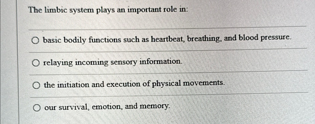 The limbic system plays an important role in: basic bodily functions ...