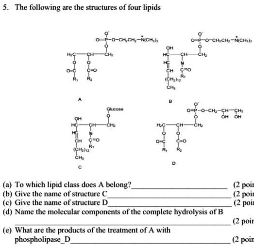 the following are the structures of four lipids 0 chcr icrsh 0 cich ...