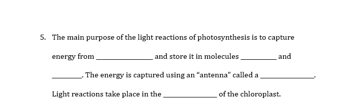 SOLVED: The main purpose of the light reactions of photosynthesis is to ...