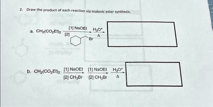 VIDEO solution: 2. Draw the product of each reaction via malonic ester synthesis. [1] NaOEt ...