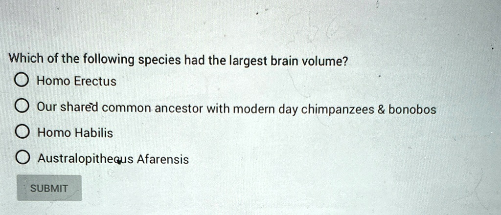 Which of the following species had the largest brain volume? Homo ...