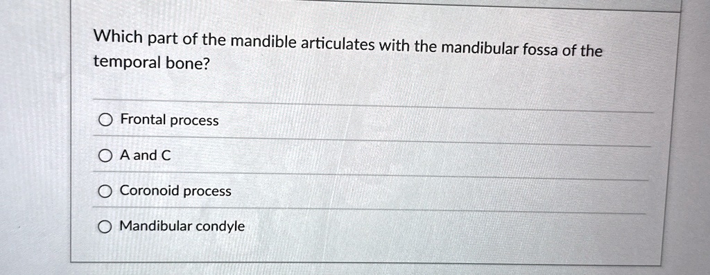 which part of the mandible articulates with the mandibular fossa of the ...