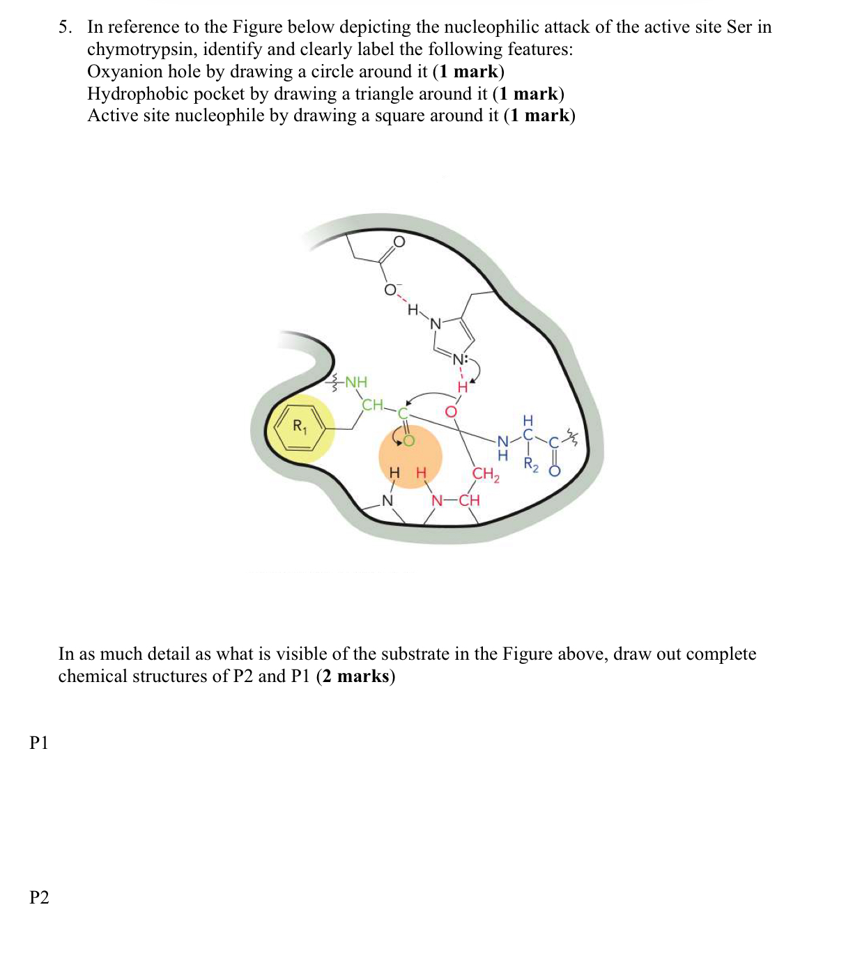 SOLVED: 5. In reference to the Figure below depicting the nucleophilic ...
