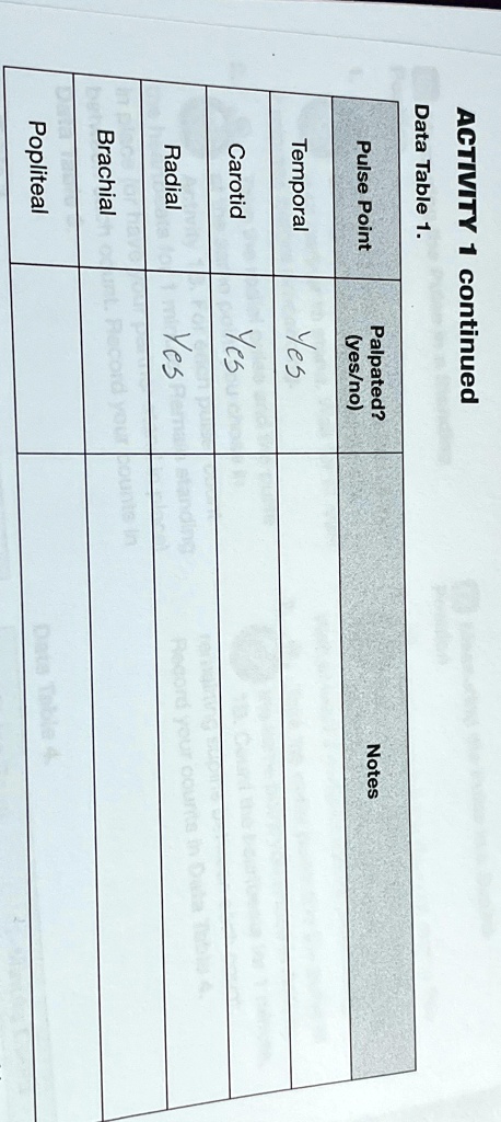 activity 1 continued data table 1 pulse point palpated temporal yes ...