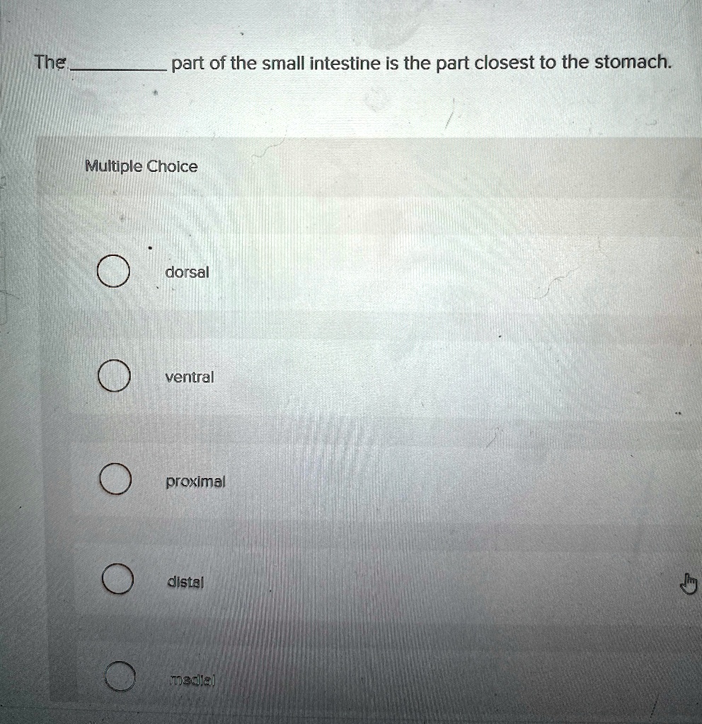 The part of the small intestine is the part closest to the stomach ...
