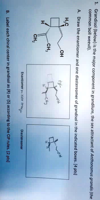 SOLVED: ' Part B I am confused on how do I label each chiral center in ...