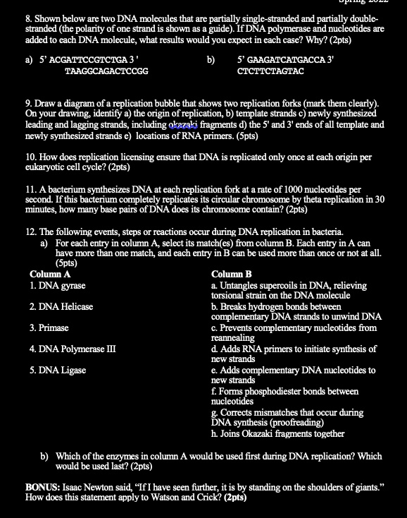 8 shown below o dna molecules that are partially single stranded and ...