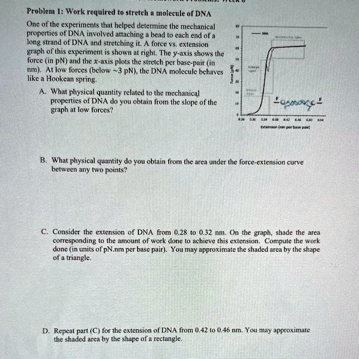 Problem 1: Work required to stretch a molecule of DNA One of the ...