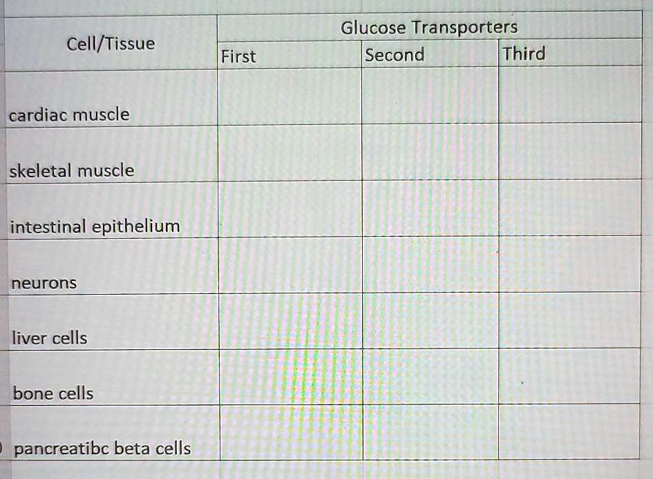 Glucose transporters second third celltissue first cardiac...