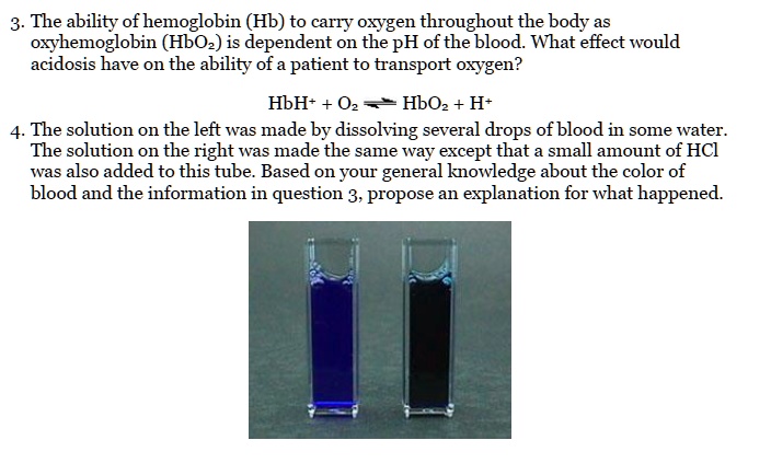 3 the ability of hemoglobin hb to carry oxygen throughout the body as ...