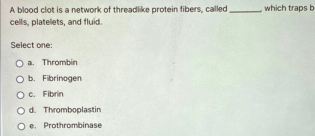 A blood clot is a network of threadlike protein fibers, called , which ...