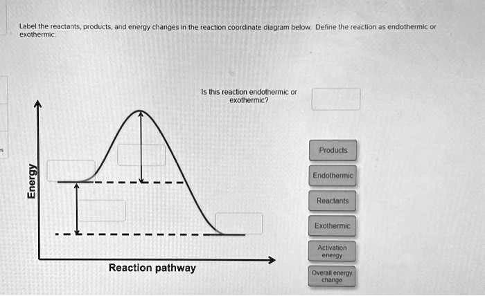 SOLVED: Texts: Label the reactants, products, and energy changes in the reaction coordinate ...