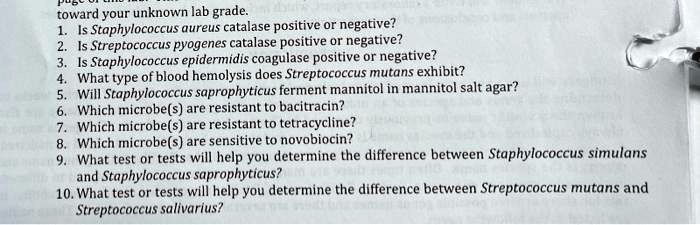 toward your unknown lab grade. 1. Is Staphylococcus aureus catalase positive or negative? 2. Is ...