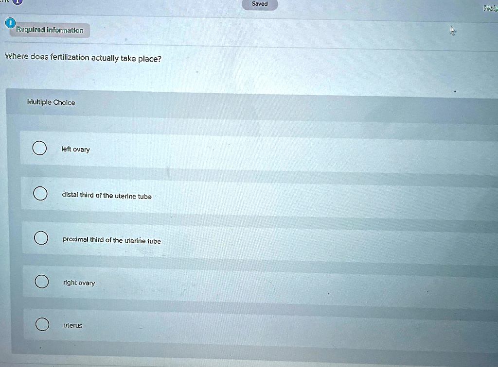 Required information Where does fertilization actually take place ...