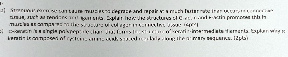 [GET ANSWER] a strenuous exercise can cause muscles to degrade and ...