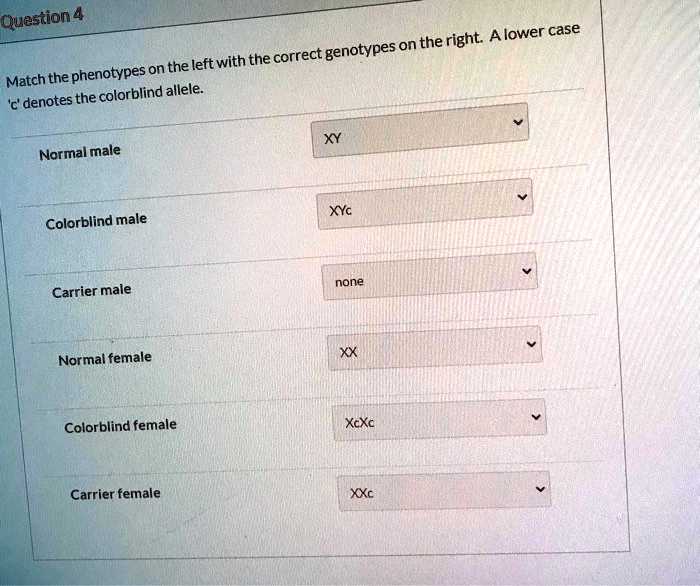 SOLVED: Question 4 the right: A lower case with the correct genotypes ...
