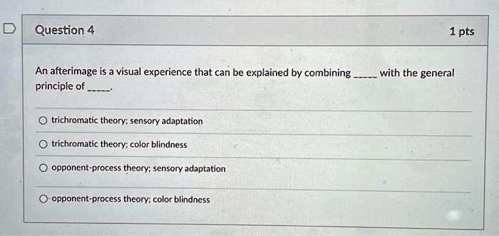 SOLVED: An afterimage is a visual experience that can be explained by ...