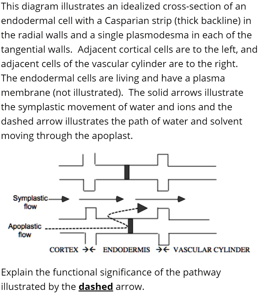 SOLVED: This diagram illustrates an idealized cross-section of an ...