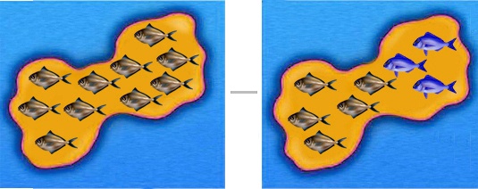 the image shows the evolution of a species of fish a few fish from a ...