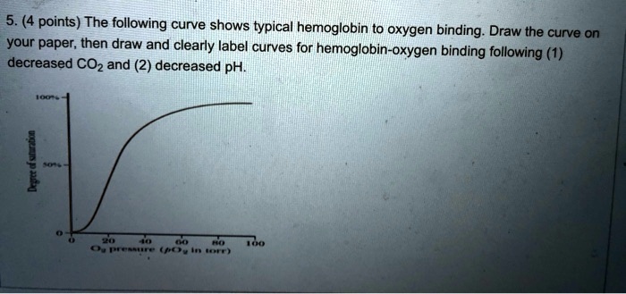 5 4 points the following curve shows typical hemoglobin to oxygen ...